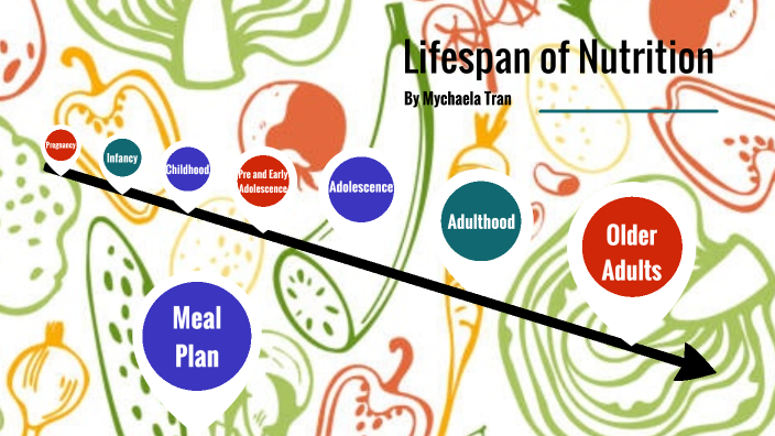 Lifespan Nutrition Timeline and Meal Plan by Mychaela Tran on Prezi