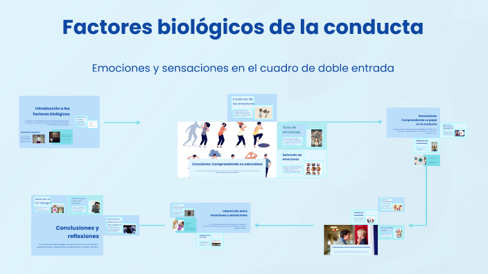 Factores Biológicos de la Conducta by anderson ghjjgh on Prezi