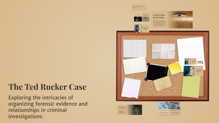 Understanding the Evidence Board: A Forensic Analysis by Hope ...