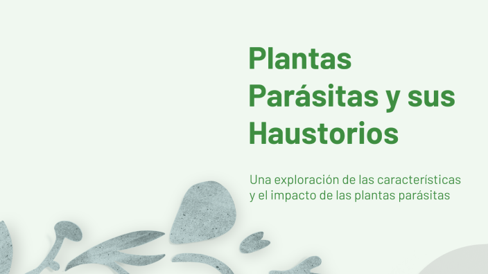 Plantas Parásitas y sus Haustorios by hely simancas on Prezi
