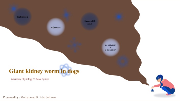Giant kidney worm in dogs by Mohammad Kamal on Prezi