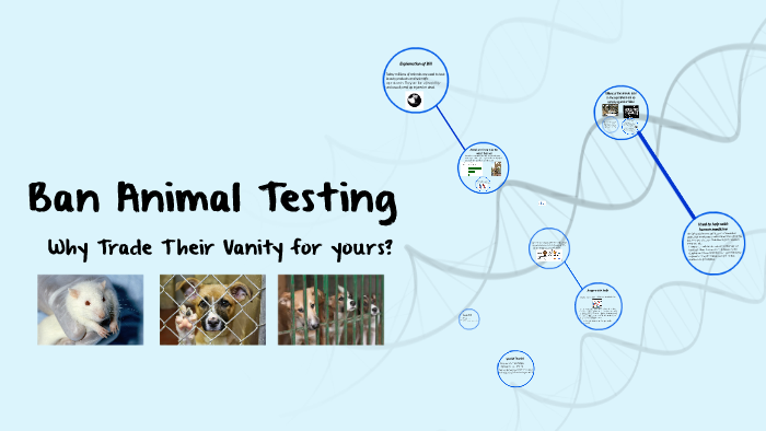 Ban Animal Testing by Stu102 Hillcrest on Prezi