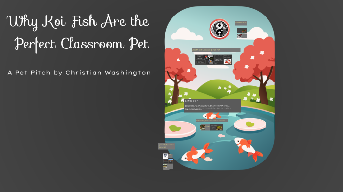 Why Koi Fish Are the Perfect Classroom Pet by christian washington on Prezi
