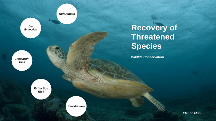 Recovery of Threatened Species by Elanor Alun on Prezi