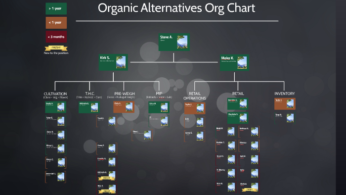 Organic Alternatives Org Chart by Michelle Barry on Prezi