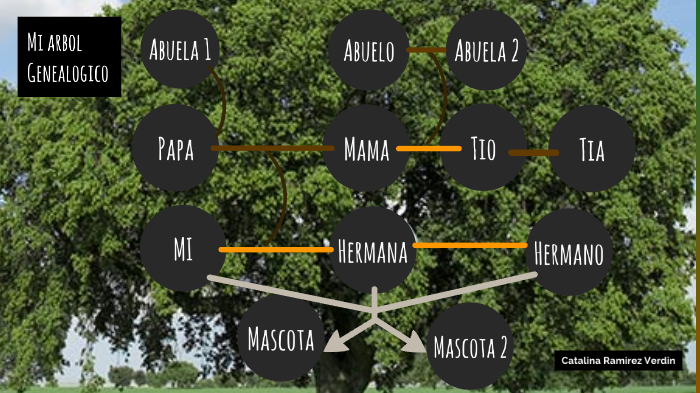 Katherine Ramirez - 3.2 Arbol Genealogico (Family Tree Project) by ...