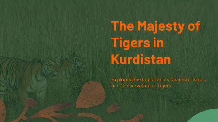 The Majesty of Tigers in Kurdistan by Pmo Pmo on Prezi