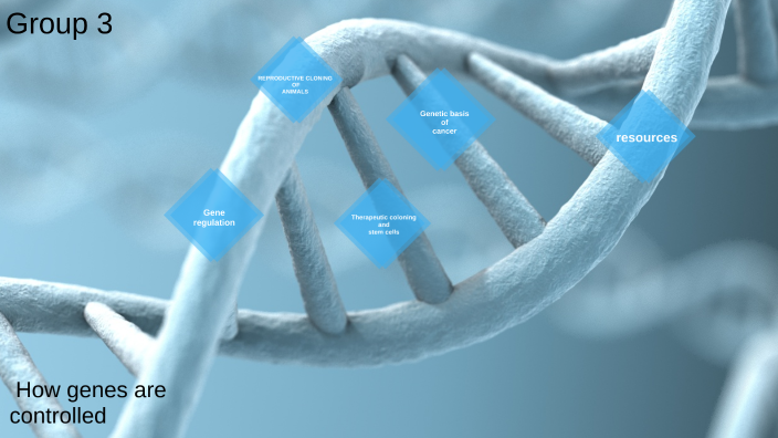 How genes are controlled ? by mohammed jamal on Prezi