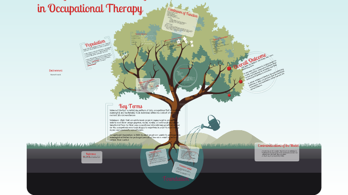 Life Balance Model of Practice by Stephanie Lancaster on Prezi