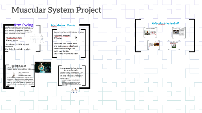 Muscular System Project by Shondey Nguyen on Prezi