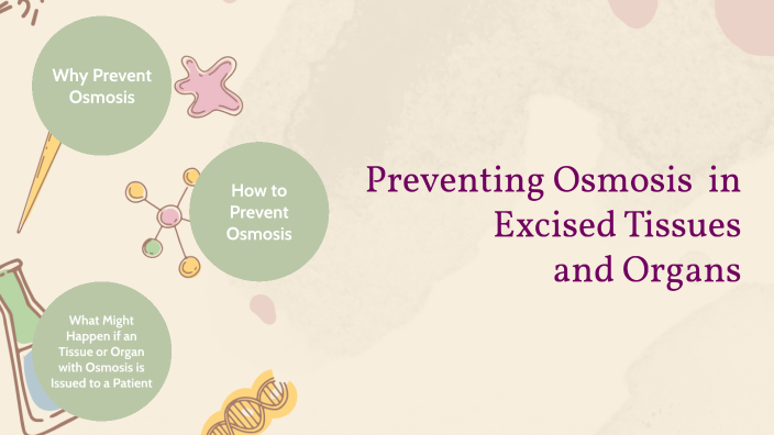 Preventing Osmosis in Excised Tissues and Organs by Nyshita Ramadugu on ...