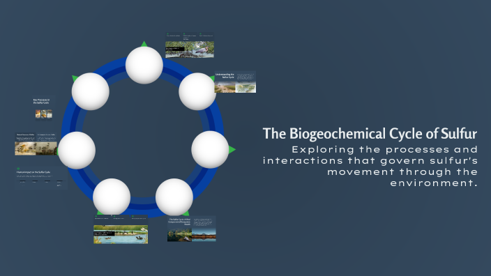 The Biogeochemical Cycle of Sulfur by Alan steven Angulo on Prezi