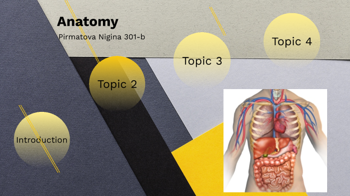 Anatomy by fedora mirana on Prezi