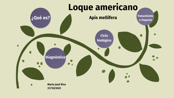 Loque americano by María Rico on Prezi