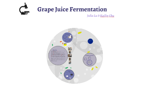 Grape Juice Fermentation by Kailin Chu on Prezi
