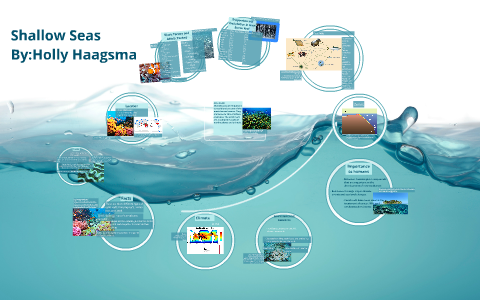Shallow Seas by Holly Haagsma on Prezi