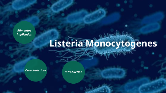 LISTERIA MONOCYTOGENES by Álvaro leon matos on Prezi
