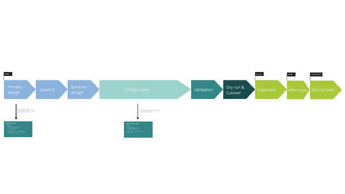 TCS Project Timeline by Danielle Vermeersch on Prezi