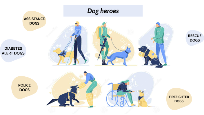 Dogs who help humans by Liliána Iván on Prezi
