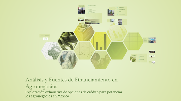 Análisis y Fuentes de Financiamiento en Agronegocios by German Frias ...