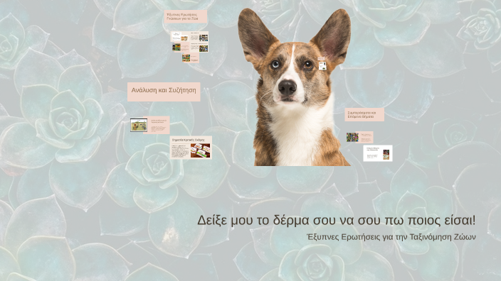 Δείξε μου το δέρμα σου να σου πω ποιος είσαι! by ΙΩΑΝΝΑ ΦΛΙΓΚΟΥ on Prezi