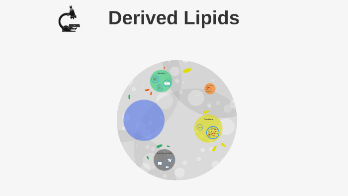 Derived Lipids by Maria Isabel Caicedo on Prezi