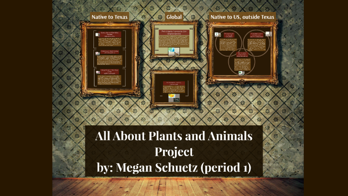 Extinct Species: Japanese Sea Lion (kjfdj) by Megan Schuetz on Prezi