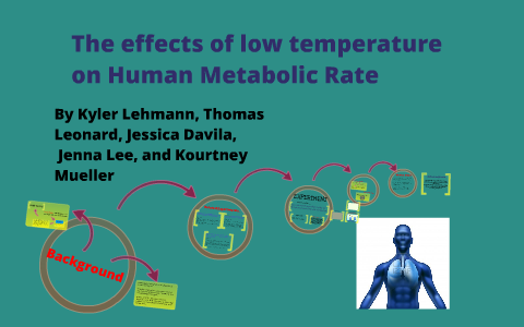 The effects of temperature on human metabolism by jessica davila