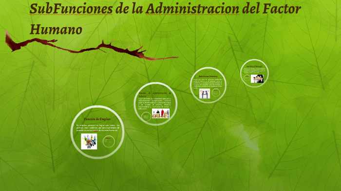 SubFunciones de la Administracion del Factor Humano by Luís Álvarez on Prezi