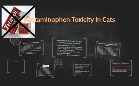 Acetaminophen Toxicity in Cats by Angela Yingst
