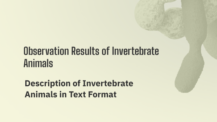 Observation Results of Invertebrate Animals by eliana sa'adatunnafis on ...