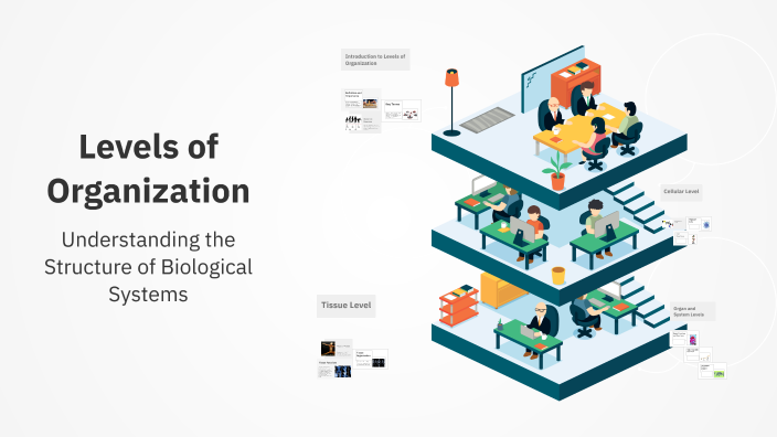Levels of Organization by Travis Daniels [STUDENT] on Prezi
