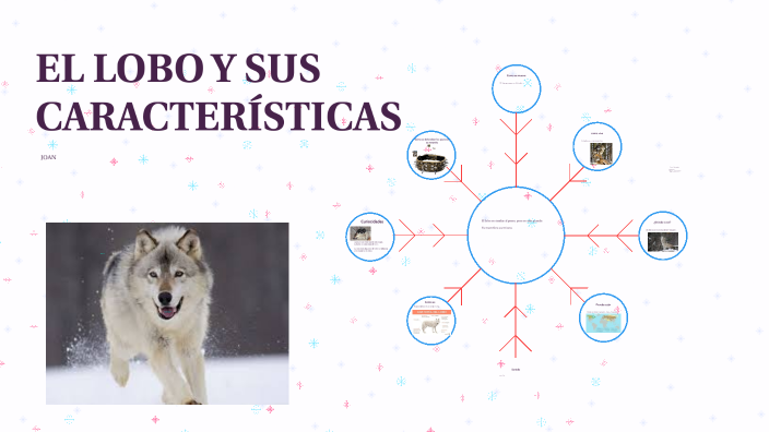 EL LOBO by Joan Fornells on Prezi