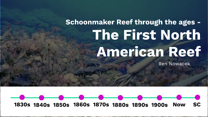 Schoonmaker Reef Timeline by Ben Nowacek on Prezi