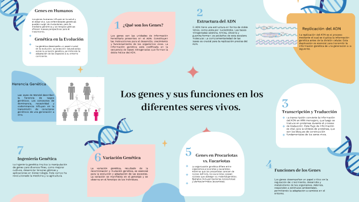 Explorando los genes: Recopilación, Importancia y Funciones by Dayana ...