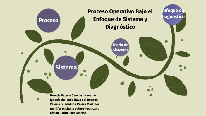 Proceso Operativo Bajo el Sistema de Enfoque y Diagnóstico by Brenda ...