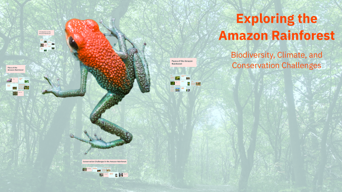 Exploring the Amazon Rainforest by Jazzmerrah Stowers on Prezi