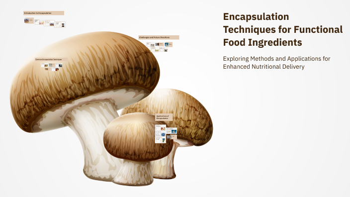 Encapsulation Techniques for Functional Food Ingredients by Nikeeta ...