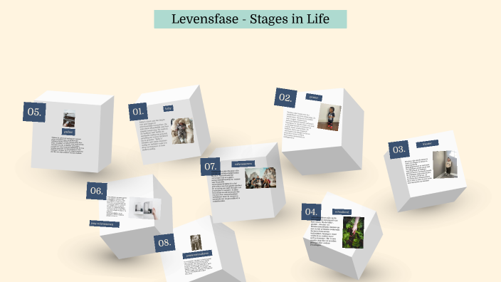 Levensfase - Stages in Life by sumaya alin on Prezi