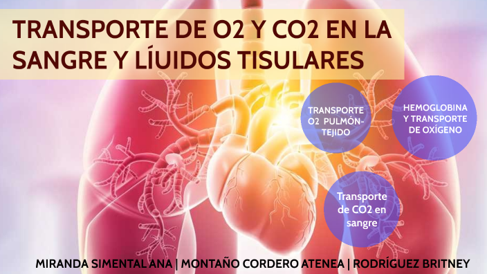 Transporte de O2 y CO2 by Atenea Montaño on Prezi