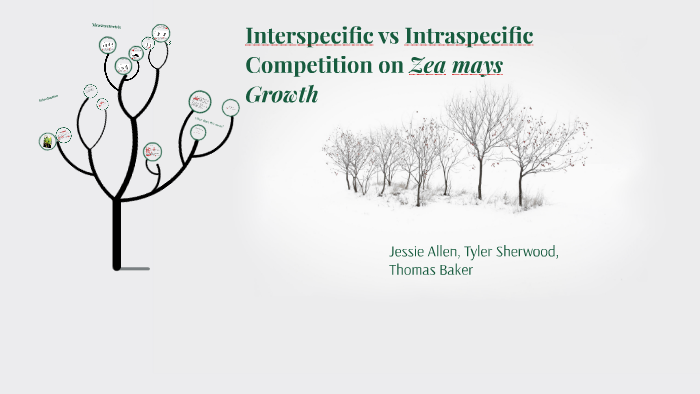 Interspecific vs Intraspecific Competition by Jessie Allen on Prezi