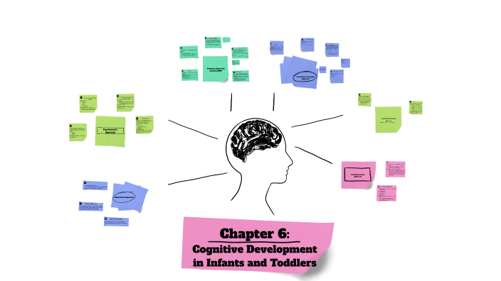 Chapter 6: Cognitive Development in Infants and Toddlers by Avery Herker on Prezi