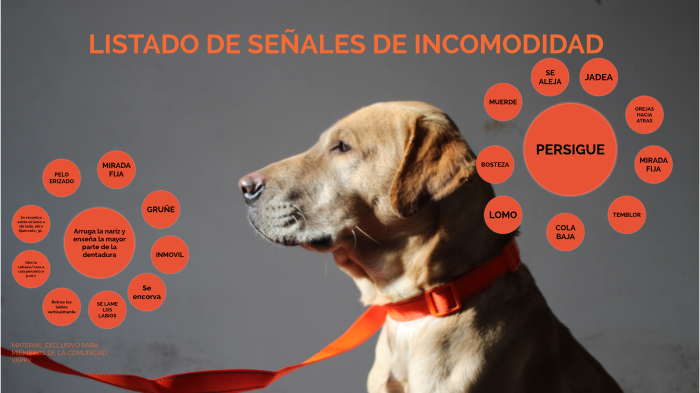 LISTADO DE SEÑALES DE INCOMODIDAD by Lilly Sander on Prezi