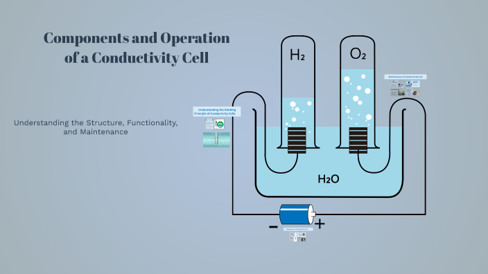 Components and Operation of a Conductivity Cell by Asha NS on Prezi