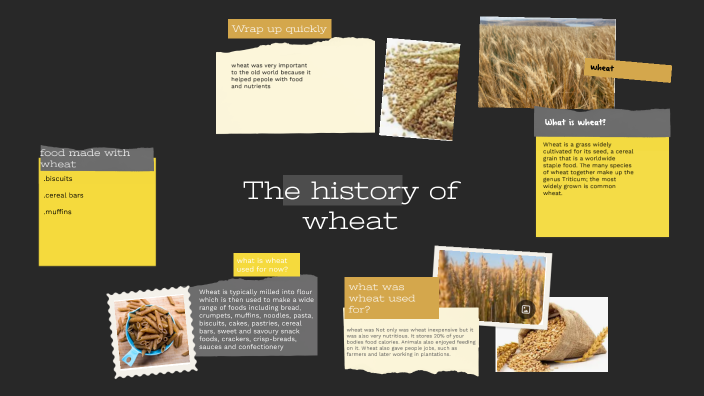 The background story of wheat by Sinaya Holder on Prezi