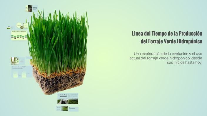 Linea del Tiempo del Forraje Verde Hidropónico by yarahi Leon on Prezi