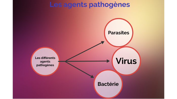 Les agents pathogènes by Lucas Giovannelli on Prezi