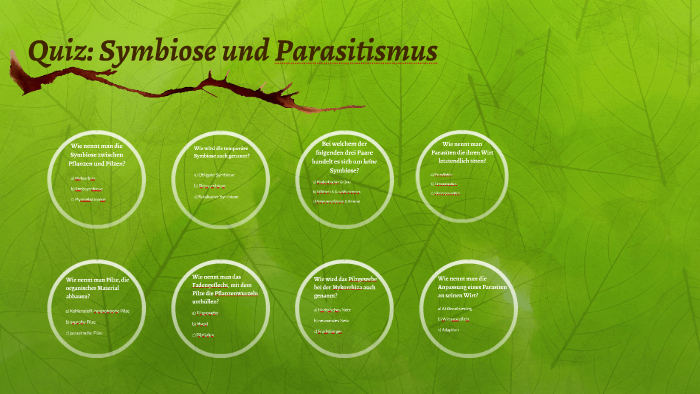 Quiz: Symbiose und Parasitismus by Lisa B on Prezi