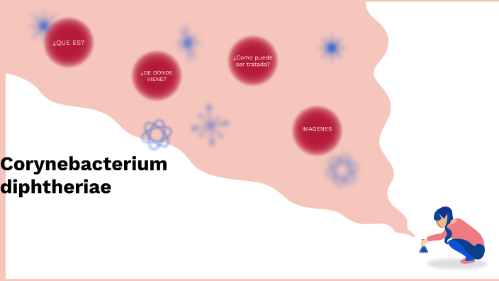 Corynebacterium diphtheriae by maria fernanda PARADA salazar on Prezi