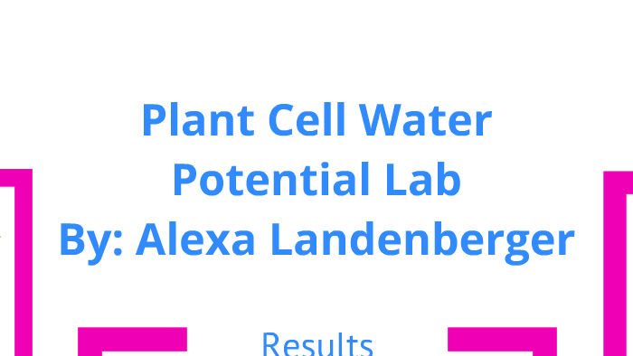 Plant Cell Water Potential Lab by Alexa Landenberger on Prezi